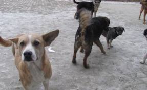 Bucharest, Romania - City Guide